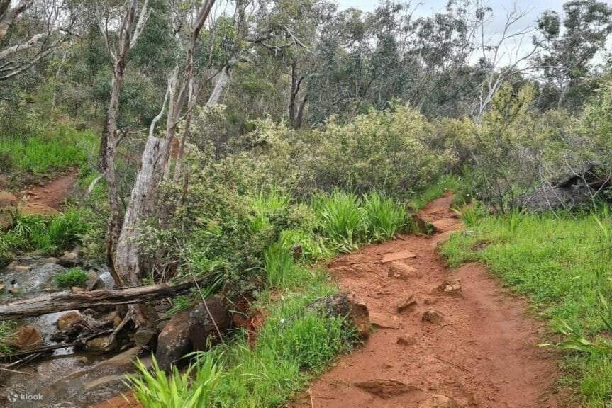 Hidden Gems of Perth Experience - Klook