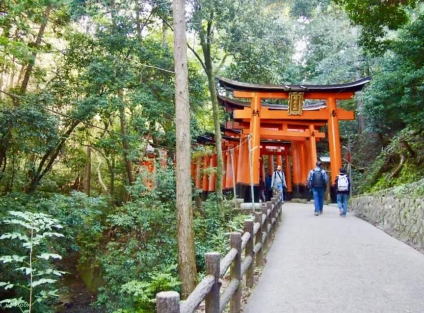 Mt Fushimi Inari Half Day Private Hiking Tour with a Local Guide - Klook