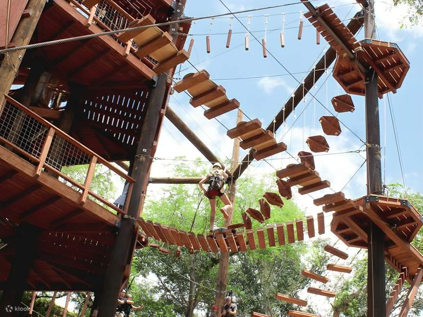 Ultimate Adventure Package: Zip, Climb, and Conquer in Hawaii - Klook ...