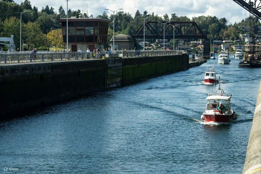 3-Hours Scenic Tour in Seattle - Klook