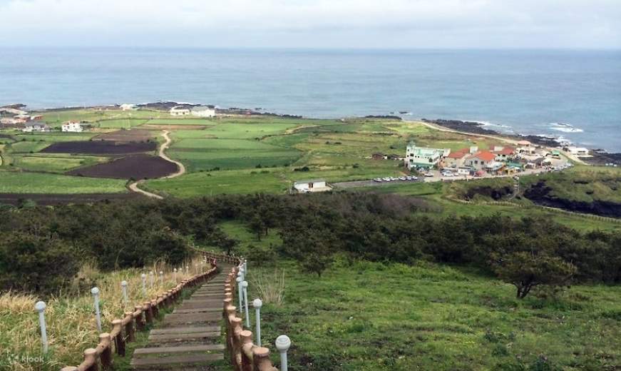 Jeju Island Western & Southern Package Day Tour - Klook