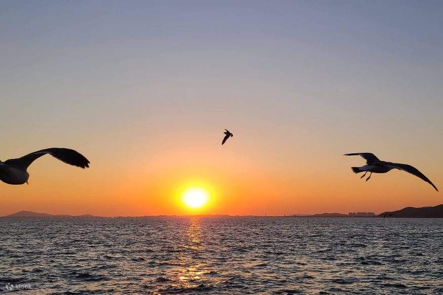 Incheon Sunset and Seafood Tour - Klook