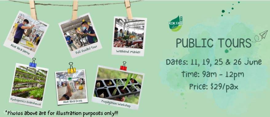 Vegetable Guided Farm Tour and Propagation workshop - Klook