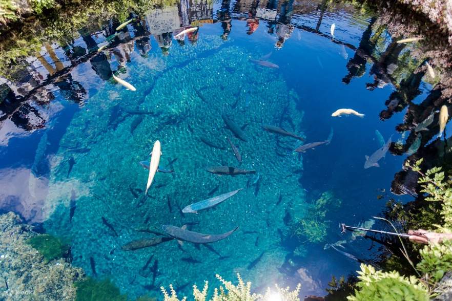 Lake Kawaguchi Fuji Panoramic Ropeway & Oshino Hakkai & Lawson ...