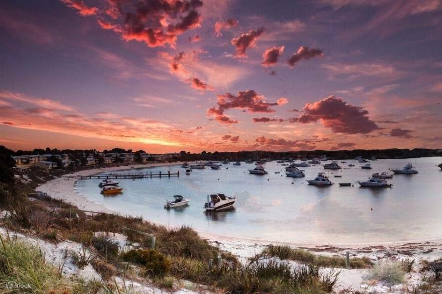 Rottnest Island Ferry Transfers - Klook Singapore