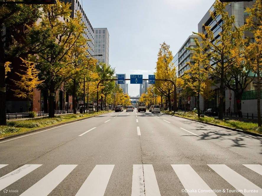 Osaka Sightseeing Bus "Nani Wonder" - Double-decker Open-top Bus Night ...