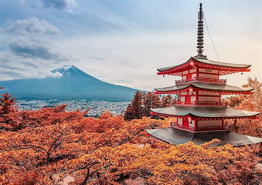 Tour in autobus di un giorno del Monte Fuji, del Parco Oishi e del ...
