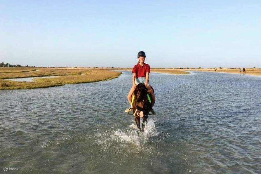 Experiencia de paseo a caballo en la laguna de Djerba - Klook Estados ...