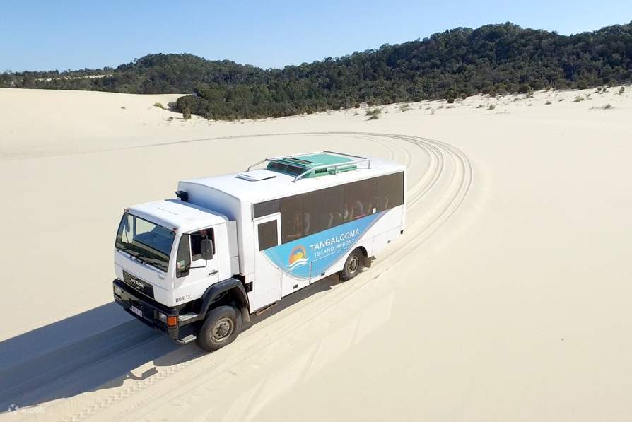 Tangalooma Day Tour with Transfers and English or Japanese Guide - Klook