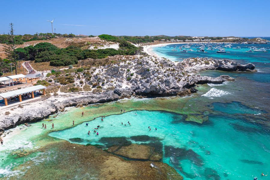 Trasferimenti in traghetto per l'Isola di Rottnest - Klook Stati Uniti