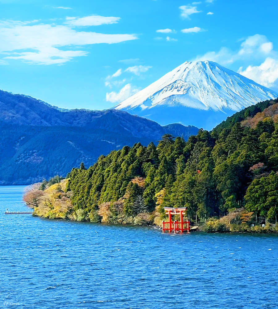 Hakone｜Owakudani, Lake Ashi, and Hakone Shrine Day Tour Online ...
