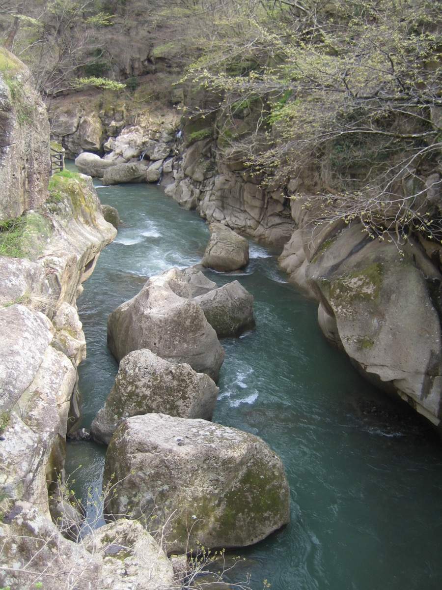 Exploring the Secret Places of Miyagi｜One-Day Tour to Nyorai Saigoji ...