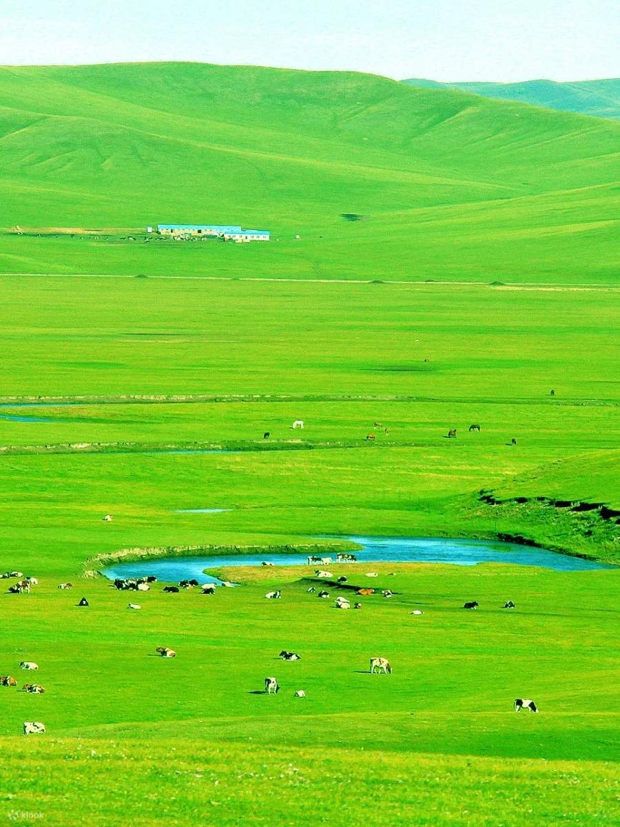 Tur 6 hari di Koridor Hexi Barat Laut (berangkat dari Xining + dukungan ...