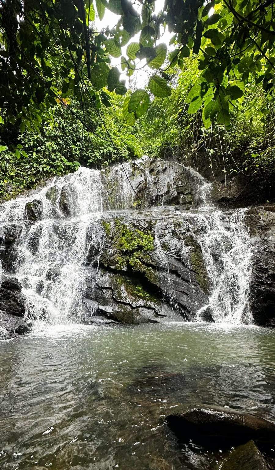 Hari 4 Elemen dengan Ekspedisi Zipline dari Phuket - Klook Indonesia