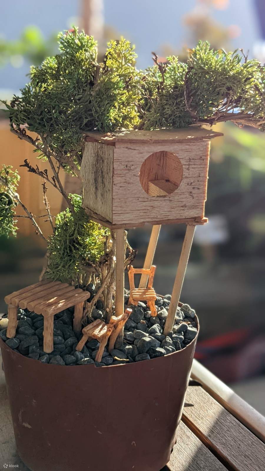 Mini Zen Garden and Mini Treehouse Workshop - Klook 客路