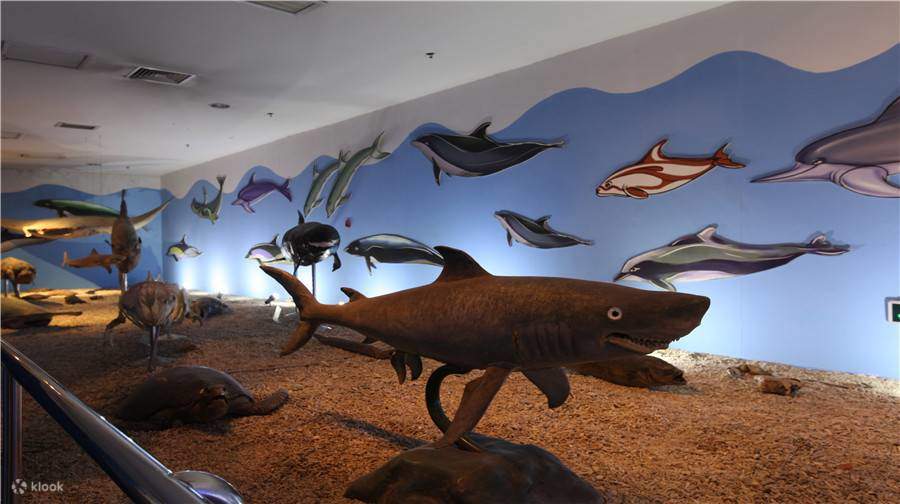 Qujiang Ocean Polar Park - Klook Philippines