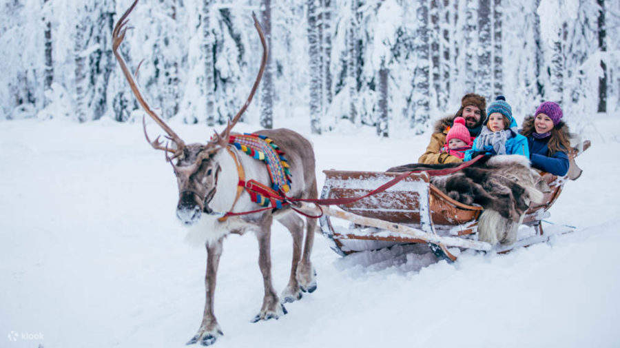 xperience the Magic: Visit Santa Claus Village Tour in the Enchanting ...