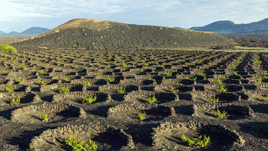 Timanfaya National Park volcanoes route tour - Klook