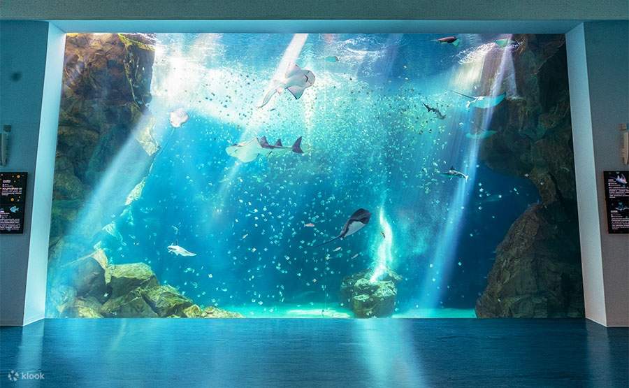 Xpark 門票 - Klook 客路