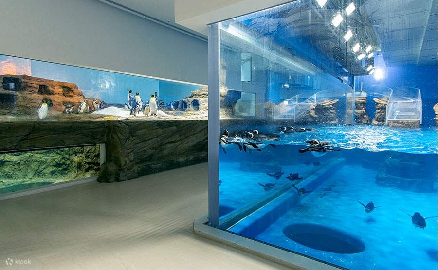 บัตรเข้าชม Xpark Aquarium ในเถาหยวน - Klook ประเทศไทย