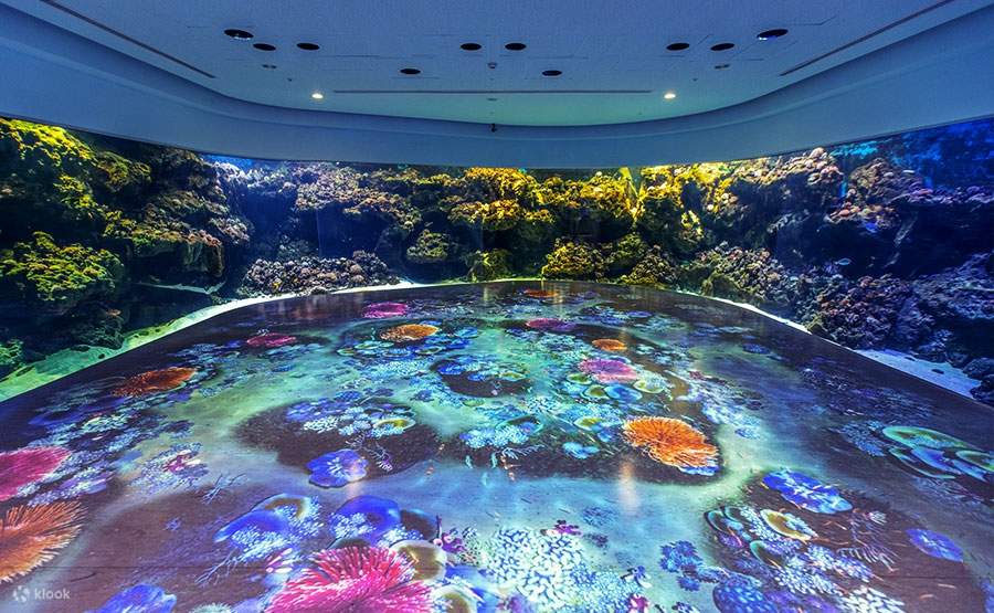 桃園 Xpark 水族館門票 - Klook 客路