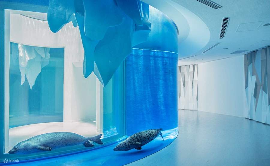 Xpark チケット（桃園） | Klook