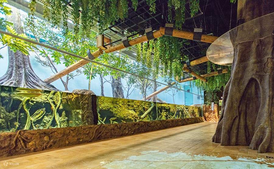 Vé Xpark Đào Viên - Klook Việt Nam