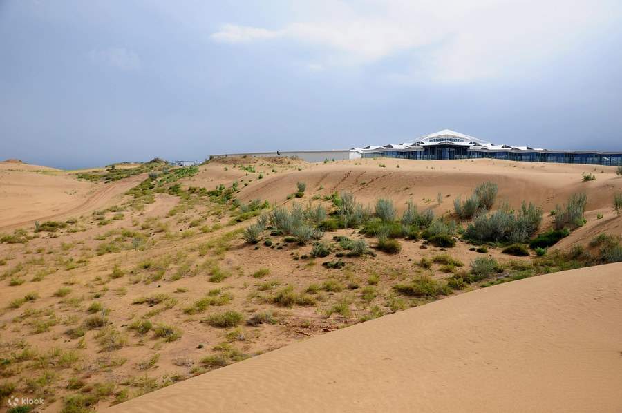 Hohhot Kubuqi Desert Day Tour - Klook