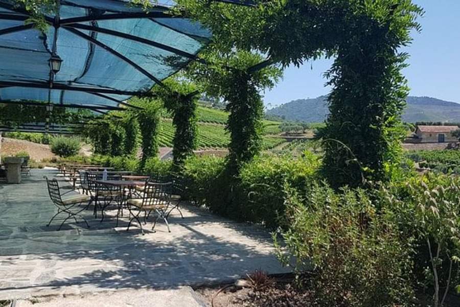 Porto Douro Valley Tagestour zu Weinbergen mit Mittagessen - Klook ...