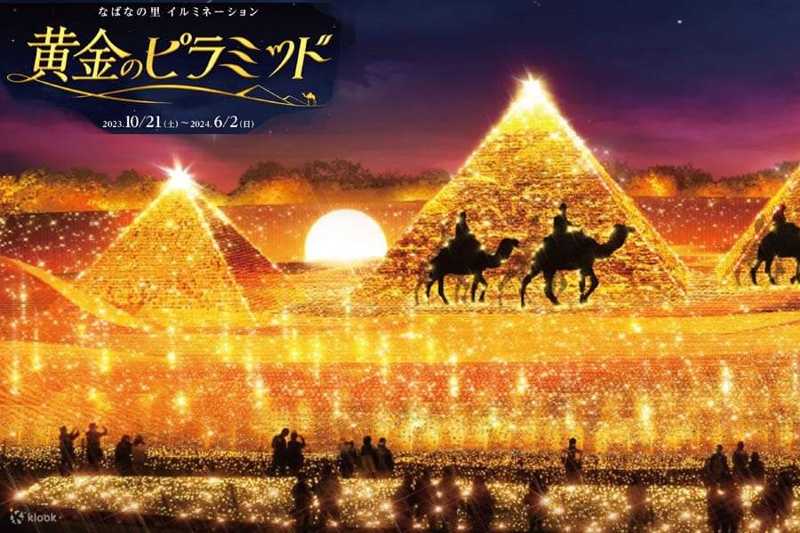 Silver-white snow scenery "Gozaisho Ropeway" & light illumination "Nabana no Sato" day trip tour ...