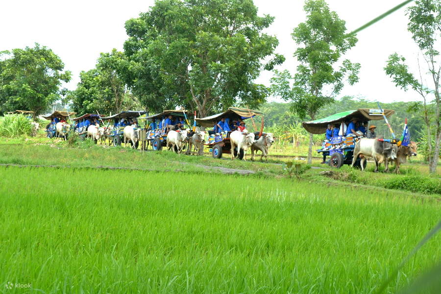 Omah Kecebong Cultural Activities in Sleman Yogyakarta - Klook Malaysia