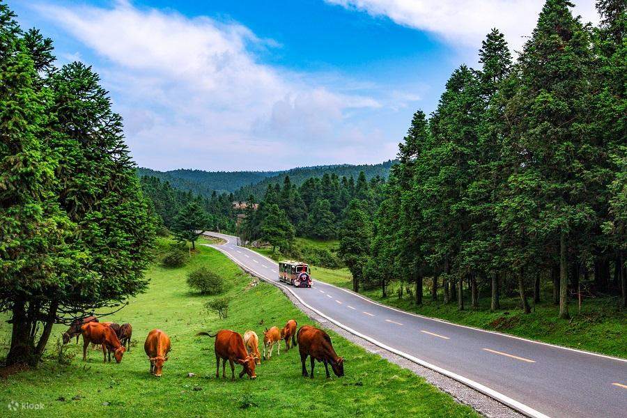 Chongqing Wulong Tiansheng Third Bridge + Longshui Gorge Ground Fissure ...