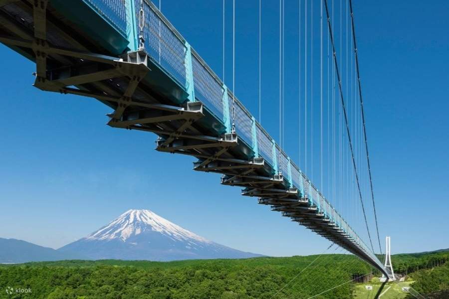 Hakone Fireworks Cruise and Mishima Skywalk One Day Bus Tour from Tokyo ...