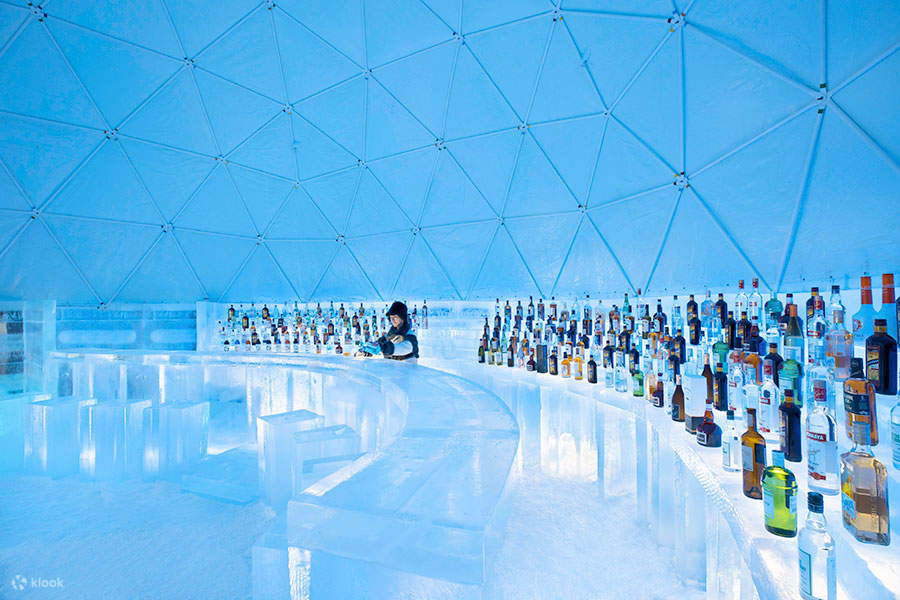 Lake Shikotsu Ice Wave Festival & Hoshino Tomamu Ice Village Day Trip ...