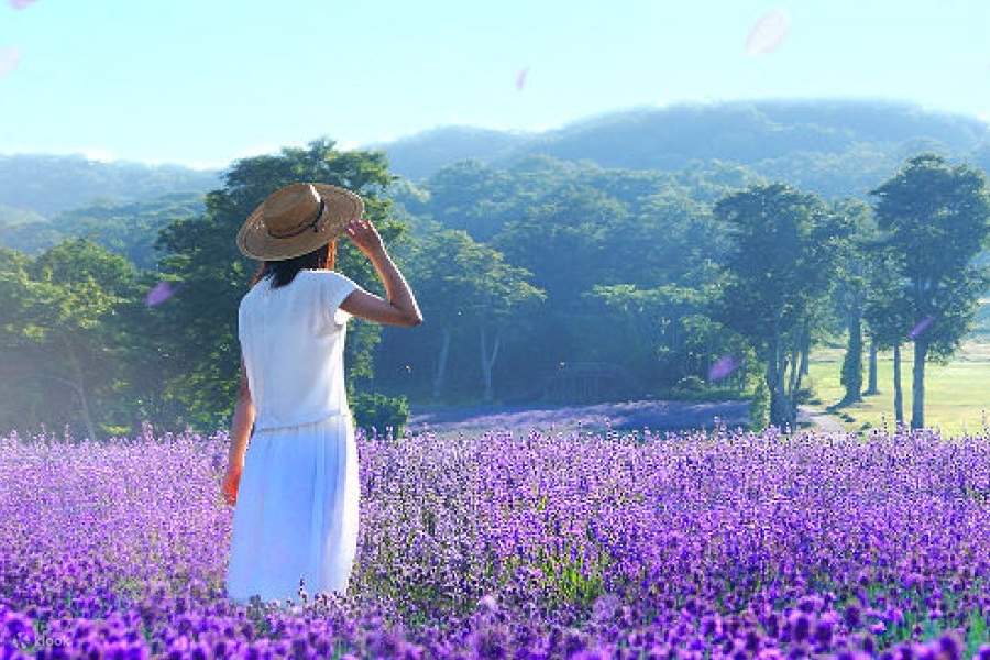 Gunma Sightseeing and Gourmet Trip from Tokyo, Japan - Klook United States