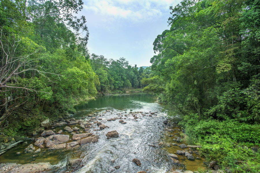 Kayaking and Bird Walking Join-In Tour di Taman Negeri Rompin di Pahang ...