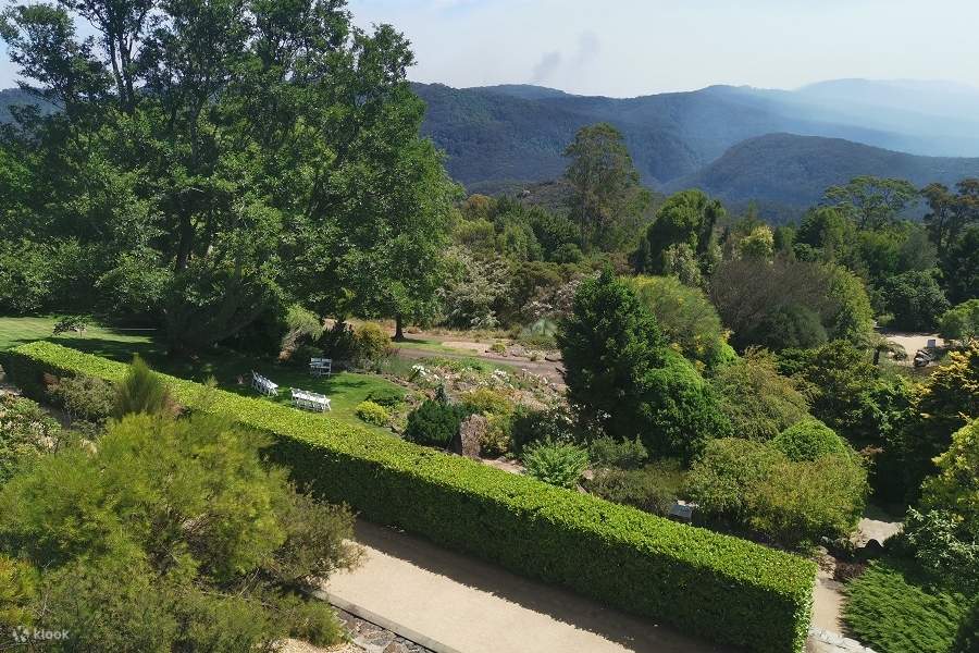 Blue Mountains Day Tour - Klook Indonesia