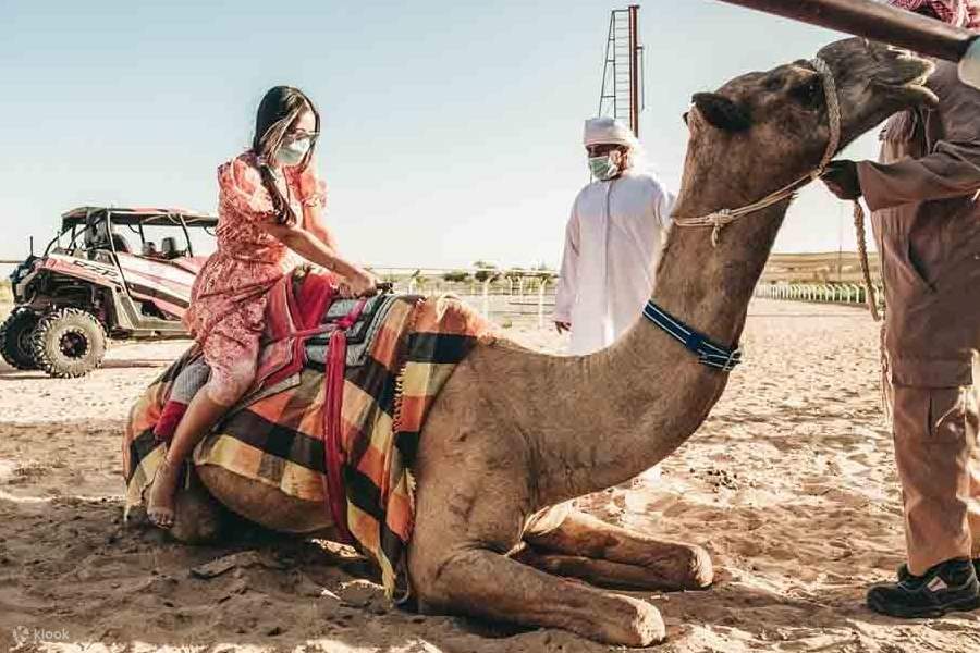 2 Hour Royal Camel Racing in Dubai - Klook