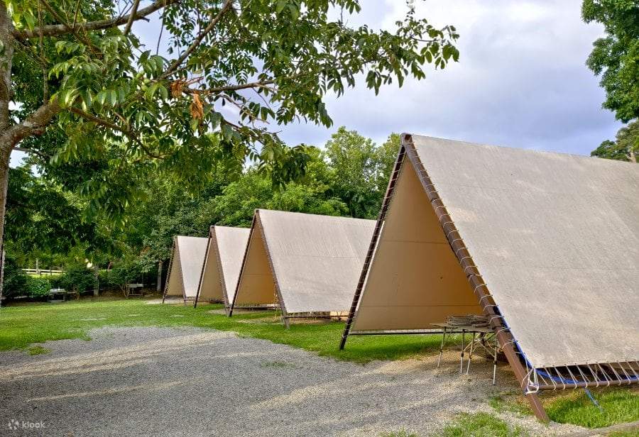 Miaoli: Bell Tent Glamping Experience in Whispering Tree Campground - Klook