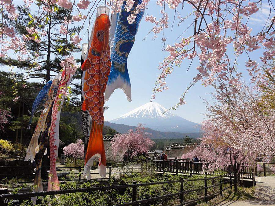 Mount Fuji and Lake Kawaguchiko Day Trip from Japan: Arakurayama Sengen ...