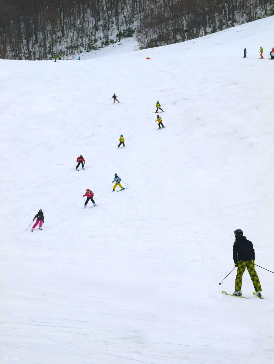 1-Day Ski Tour Package from Nagano Station - Klook