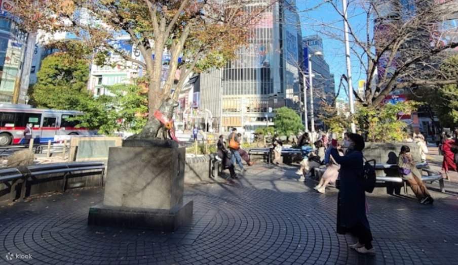 Shibuya Walking Tour and Shibuya Sky Tickets at Night - Klook United States