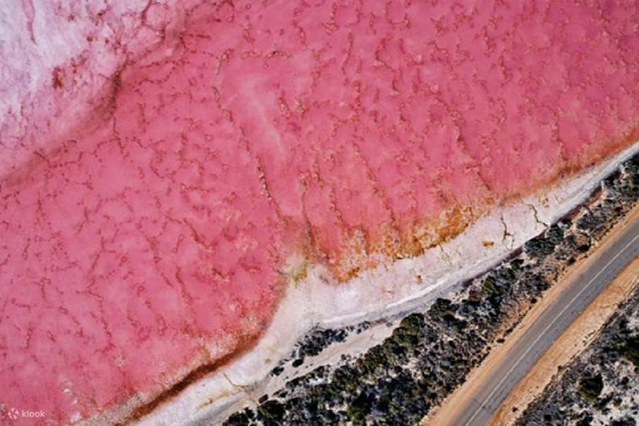 Pink Lake Tour & Aktivitas di Hutt Lagoon - Klook Indonesia
