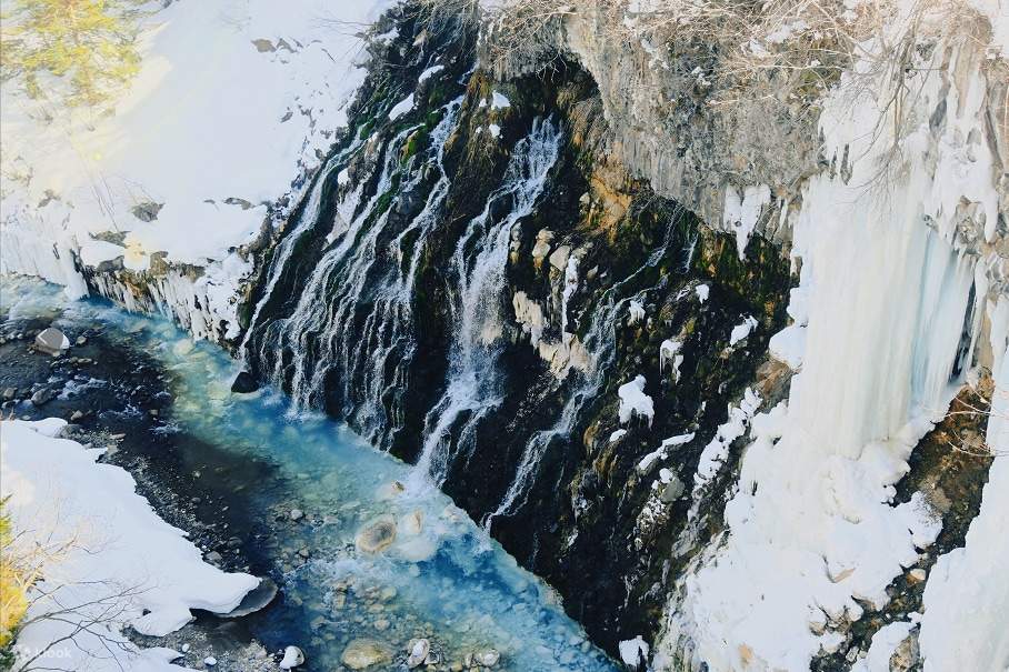 Hokkaido Spring Overture | Round Trip from Sapporo Furano & Biei Town ...