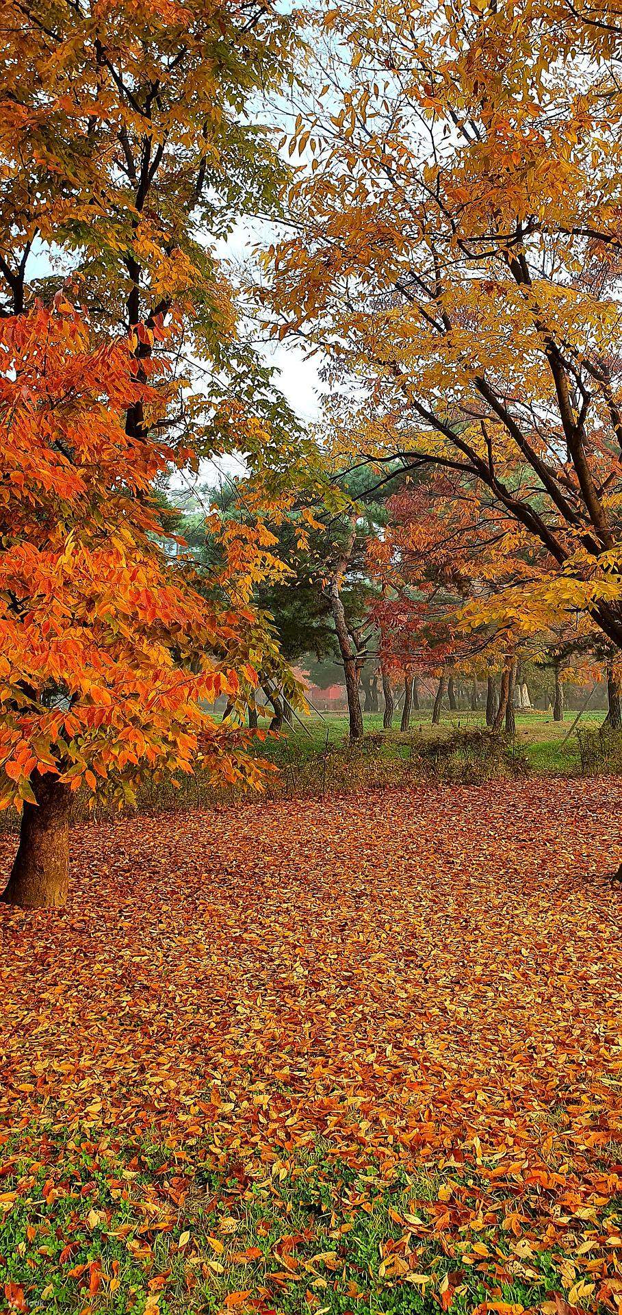 [Klook] Goyang 2TOGO No.2 One Day Tour yang Menyenangkan dari Seoul ...