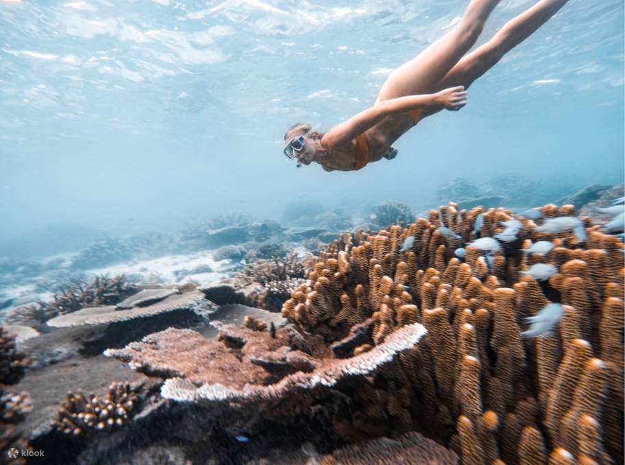 Ride and Slide Morning Tour in Fiji - Klook Estados Unidos