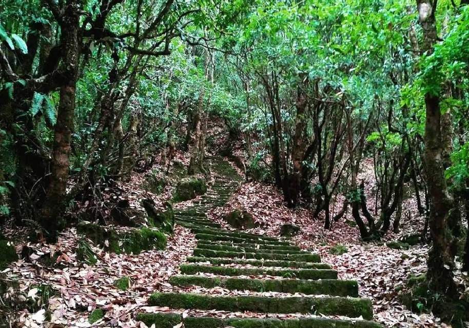 Hiking trails in kathmandu - Klook Australia