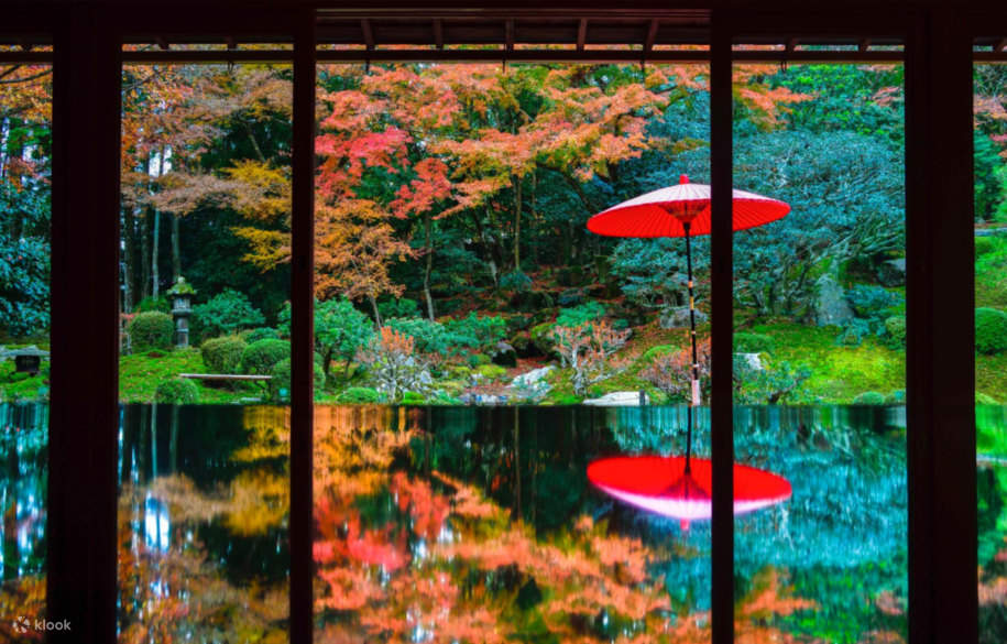 Car Rental with Driver to Kyoto/Kobe/Nara/Tokyo/Osaka/Universal Studios Japan (Depart & return ...