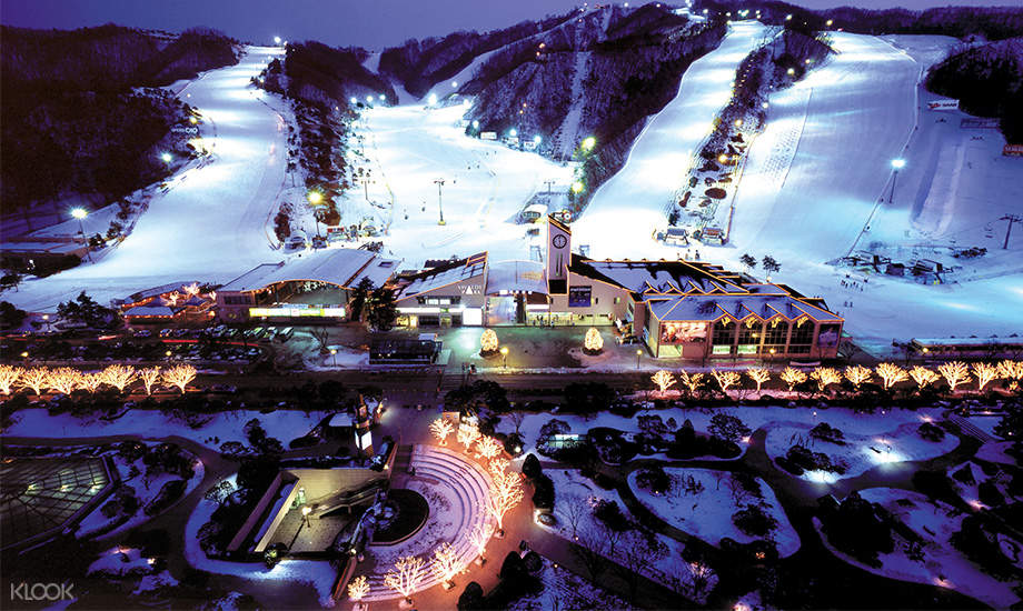 Vivaldi Park Ski World Day Trip from Seoul
