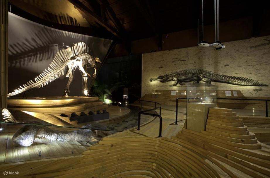 Natural History Museum Ticket in Venice - Klook